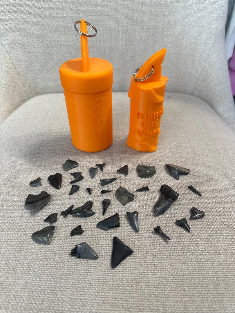 Shark Tooth Hunters! – Island Girl Vibes